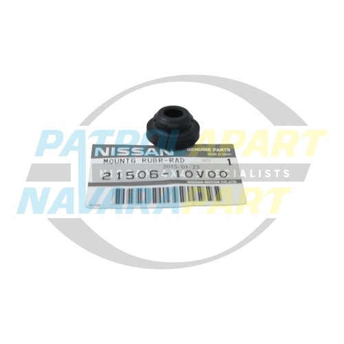 Genuine Nissan Rubber Radiator Top Mounting - Navara D22 & D40
